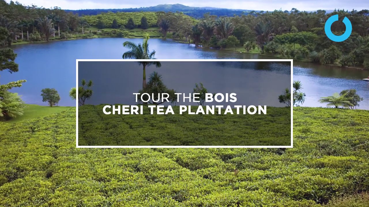 Top Things to do in Mauritius | Travelstart Tanzania - YouTube