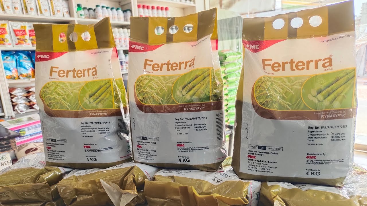 FMC Fertera Attack (Sundi) Corn Paddy suger cane - YouTube