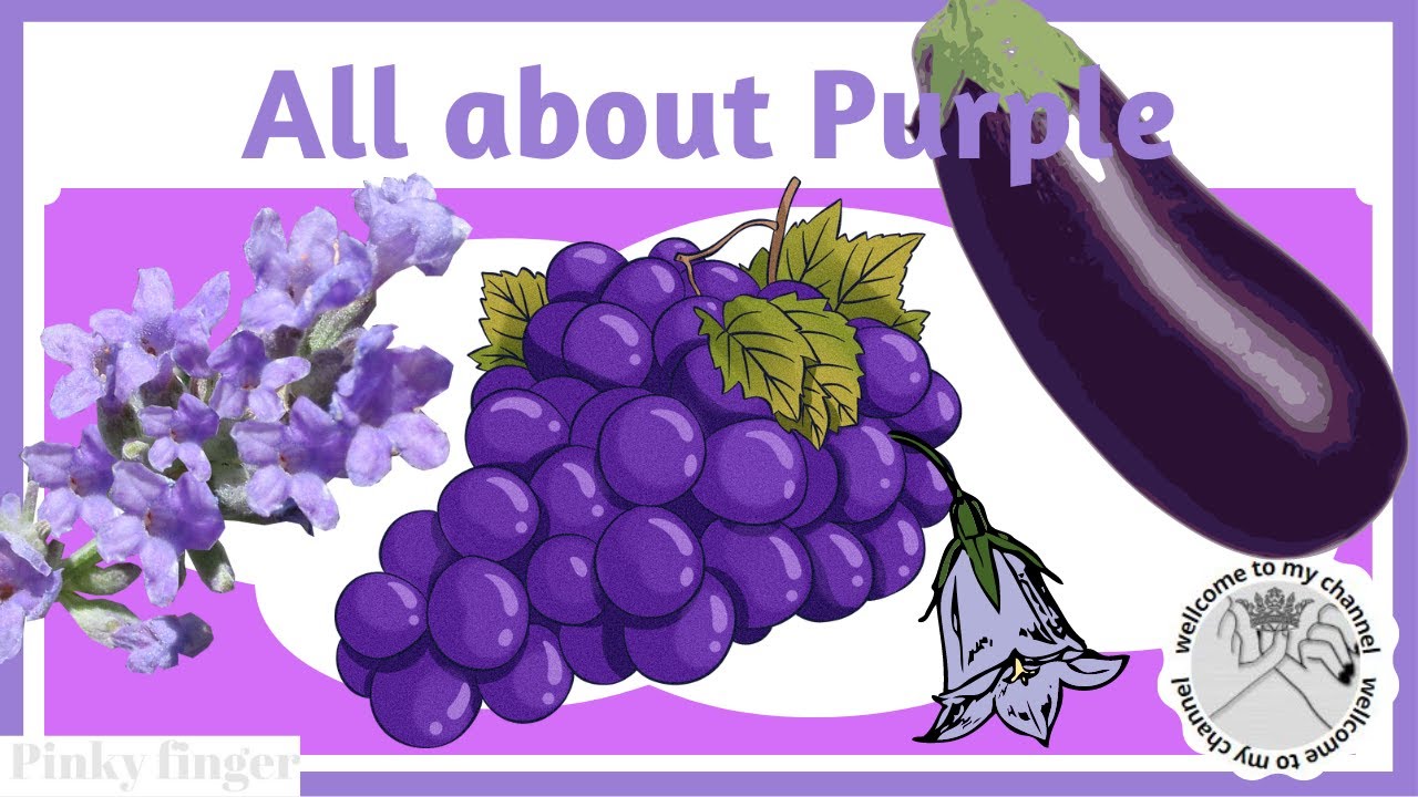 Color Purple l Find Color Purple activity l Things in Purple and ...
