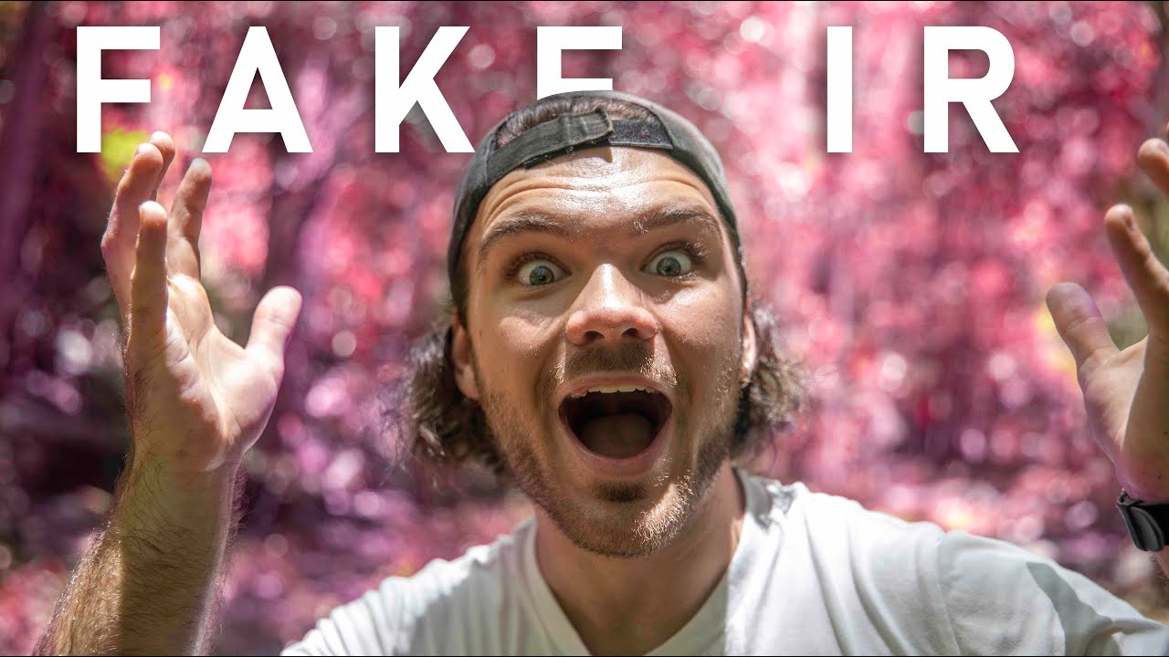 how to fake IR (infrared) photography in Lightroom using hue adjustment ...