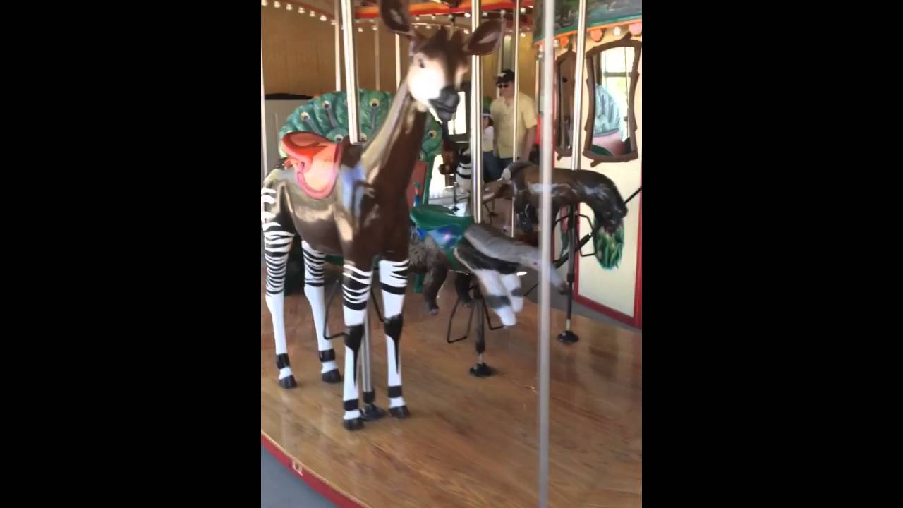 Jackson at the zoo carousel - YouTube