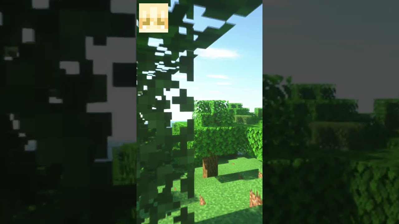 INSANE Shaders in a Minecraft Forest #shorts - YouTube