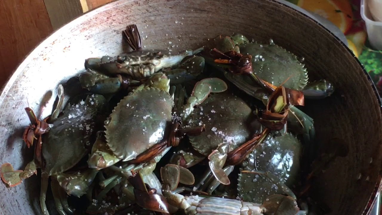 HOW TO COOK CRAB // KALAMI SA ALIMANGO // VLOG 72 - YouTube
