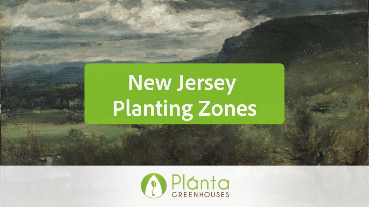 New Jersey Planting Zones – Planta Greenhouses - YouTube