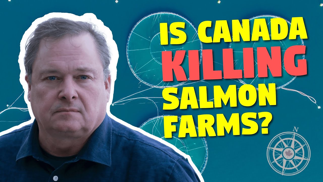 British Columbia's salmon farmers caught in the net: Ken Coates and ...