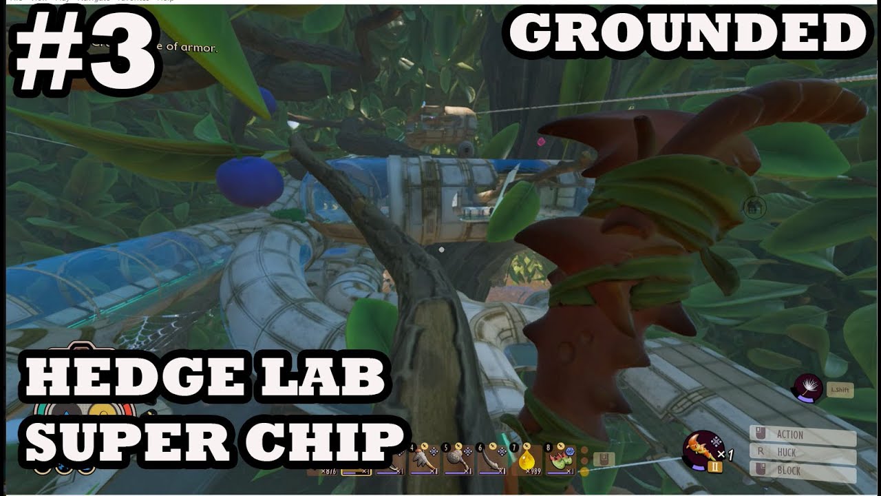 Hedge Lab Super Chip - Grounded Indonesia - episode 3 - YouTube