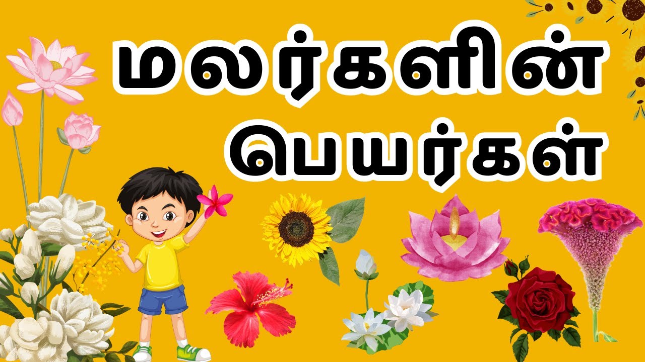 Learn Flower Names For Kids In Tamil With learn-flower-names-for-kids-in-tamil-with