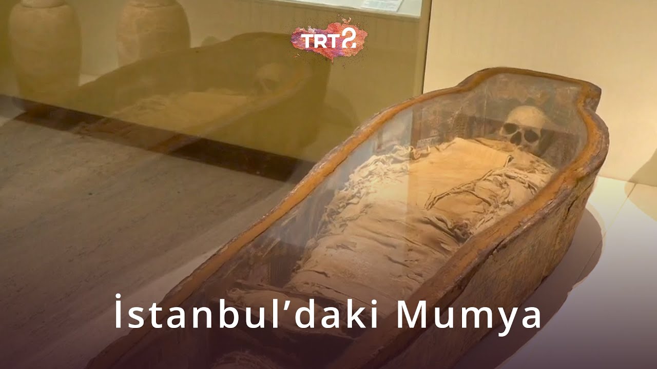 İstanbul'daki Mumya | Geziyorum - YouTube