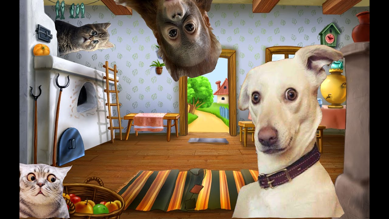 Funny Animal Part 3 || फनी जानवर भाग 3 || Comedy Animal || Funny Cat ...