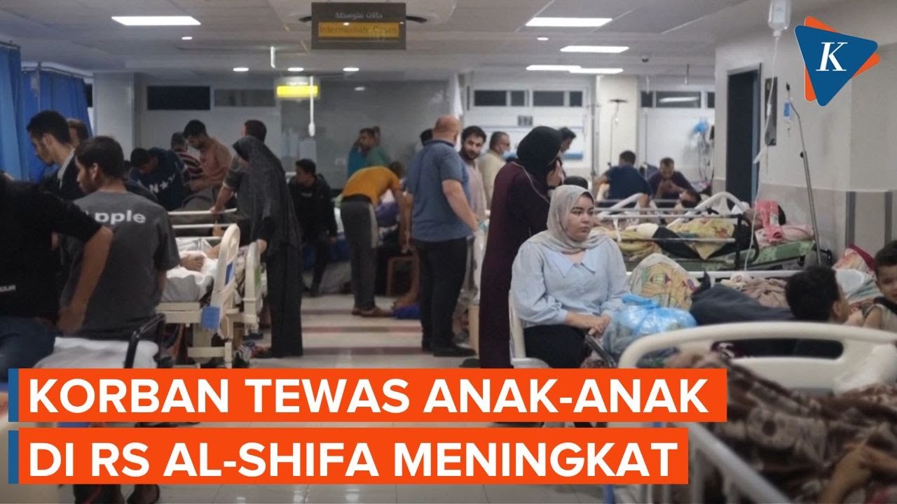 Jumlah Korban Tewas di RS Al-Shifa Gaza Naik Jadi 6 Bayi dan 9 Pasien ...