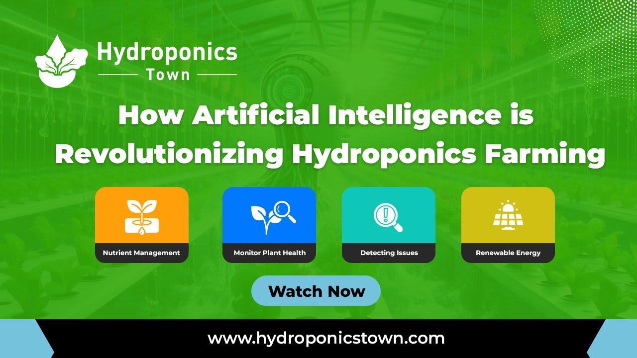 How Artificial Intelligence is Revolutionizing Hydroponics Farming ...