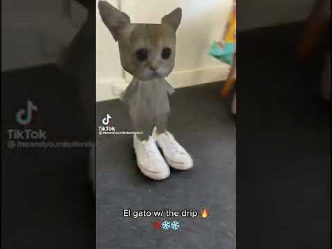 El Gato with Drip - YouTube