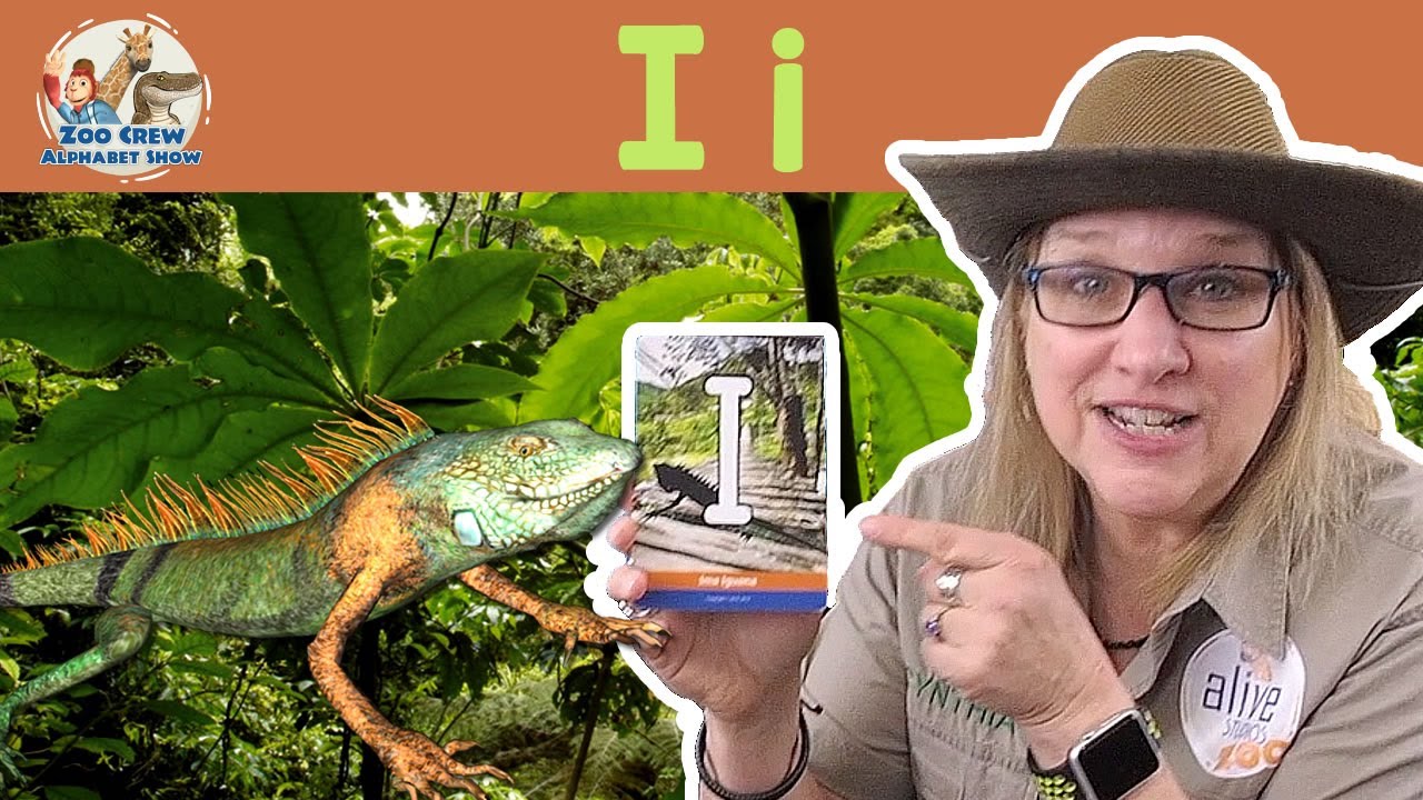 Zoo Crew Alphabet Show | Iguanas and Letter I - YouTube