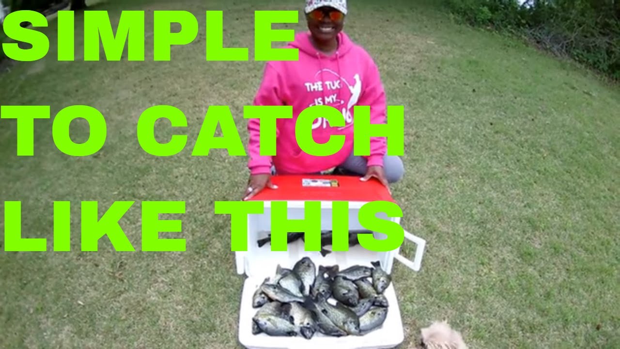 SIMPLE AND EASY WAY TO CATCH PANFISH FOR EVERYONE IN THE FAMILY WITH ...