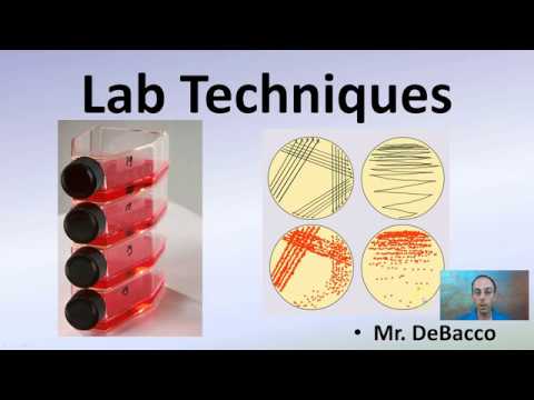 Lab Techniques - YouTube