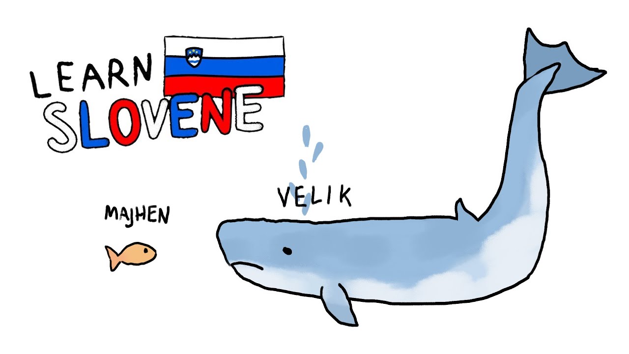 Learn Slovene: Adjectives - YouTube