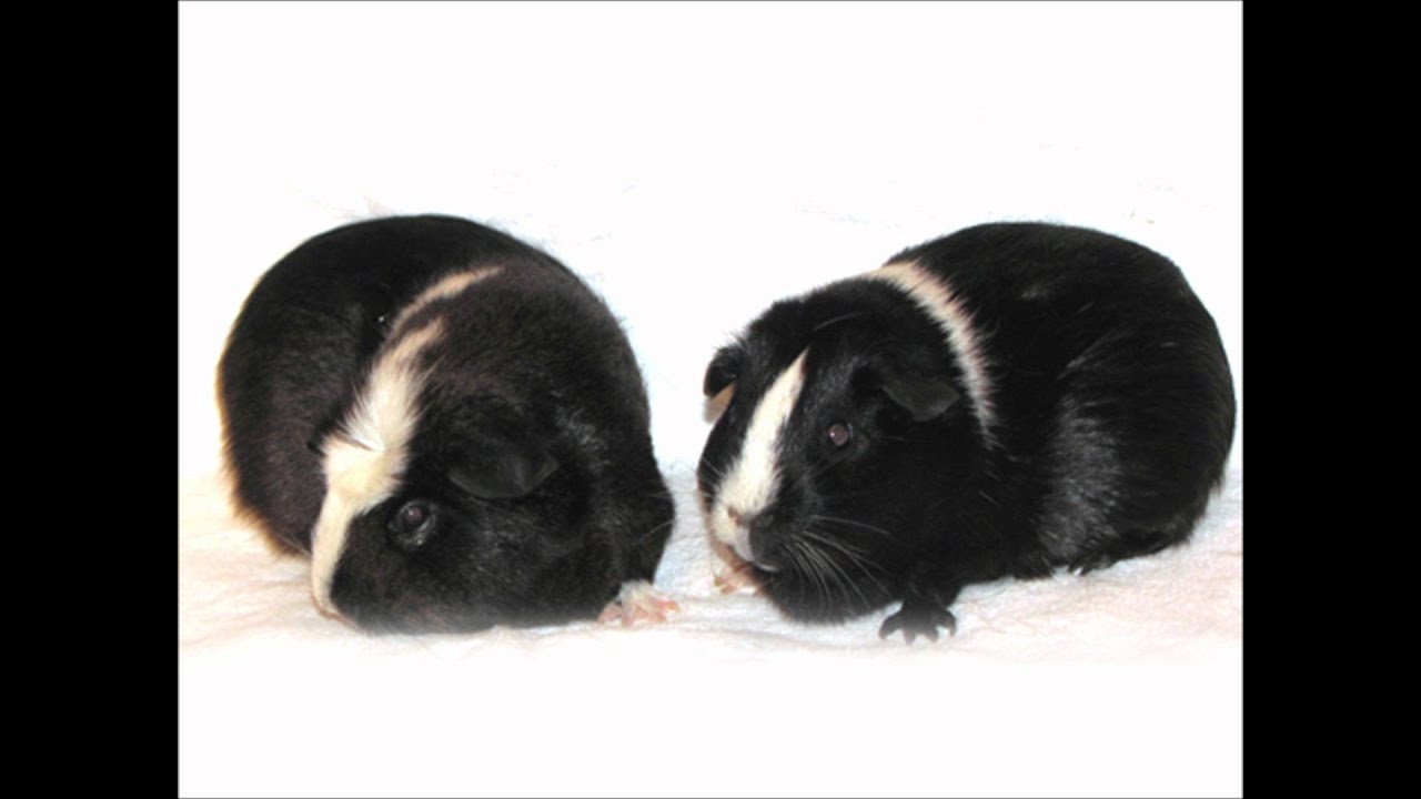 Metropolitan Love - Anthony Santini - YouTube