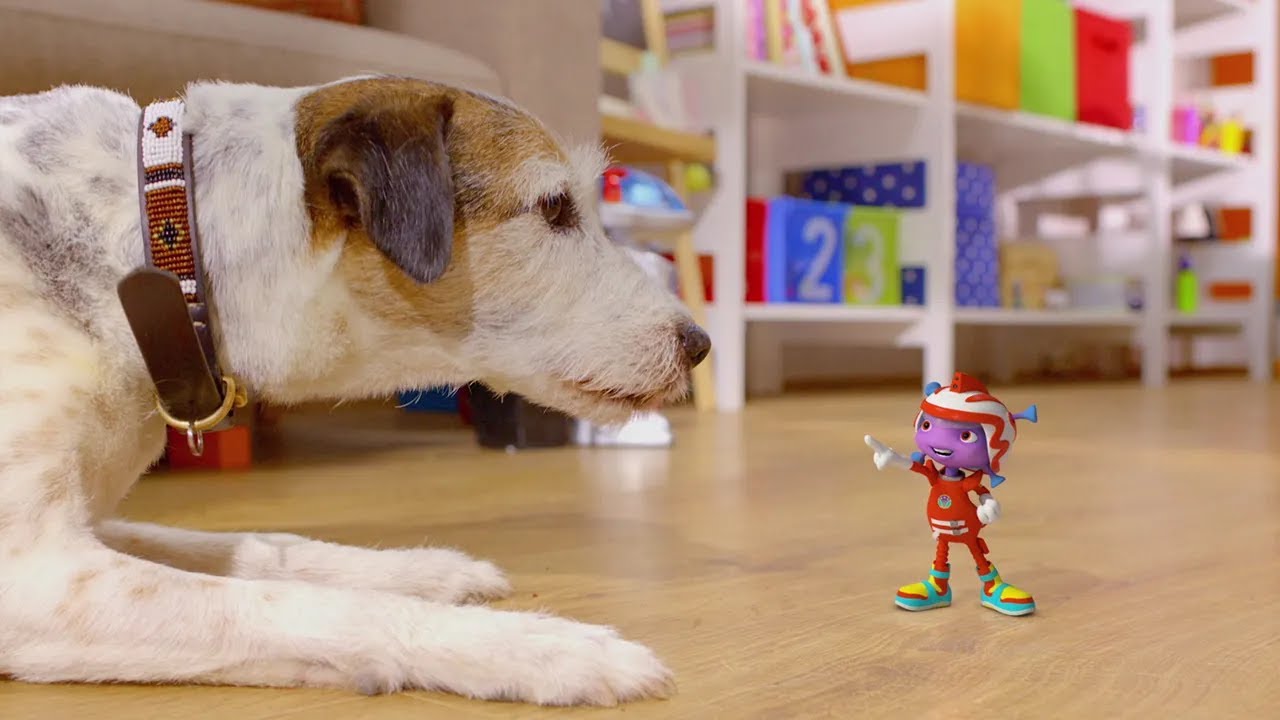 Floogals Wildlife 🚀 FLOOGALS COMPILATION 🚀 - YouTube