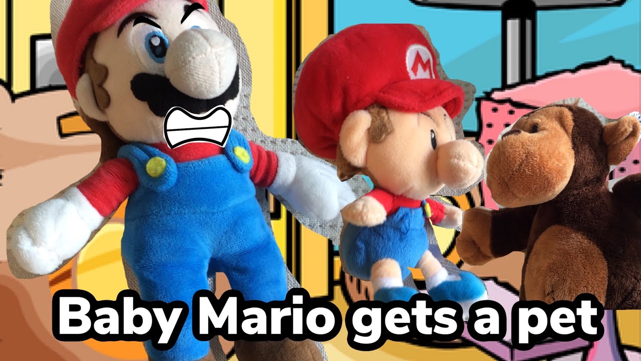 Baby Mario gets a pet - YouTube