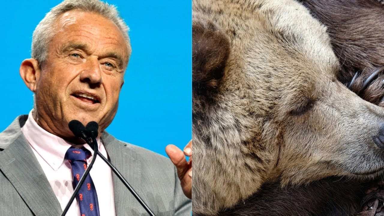 RFK Jr.’s dead bear cub story goes viral on Obama’s 63rd birthday ...
