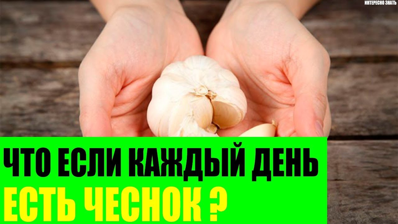 Что будет если каждый день есть чеснок Youtube