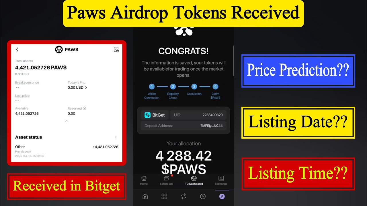 Paws Airdrop Tokens Received | Paws New Update | Paws Price Prediction ...