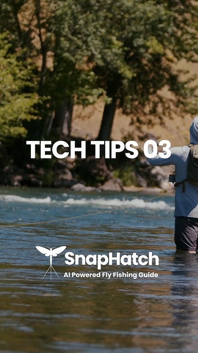 SnapHatch App- Tech Tip #3- Insect Recognition using recent photos ...