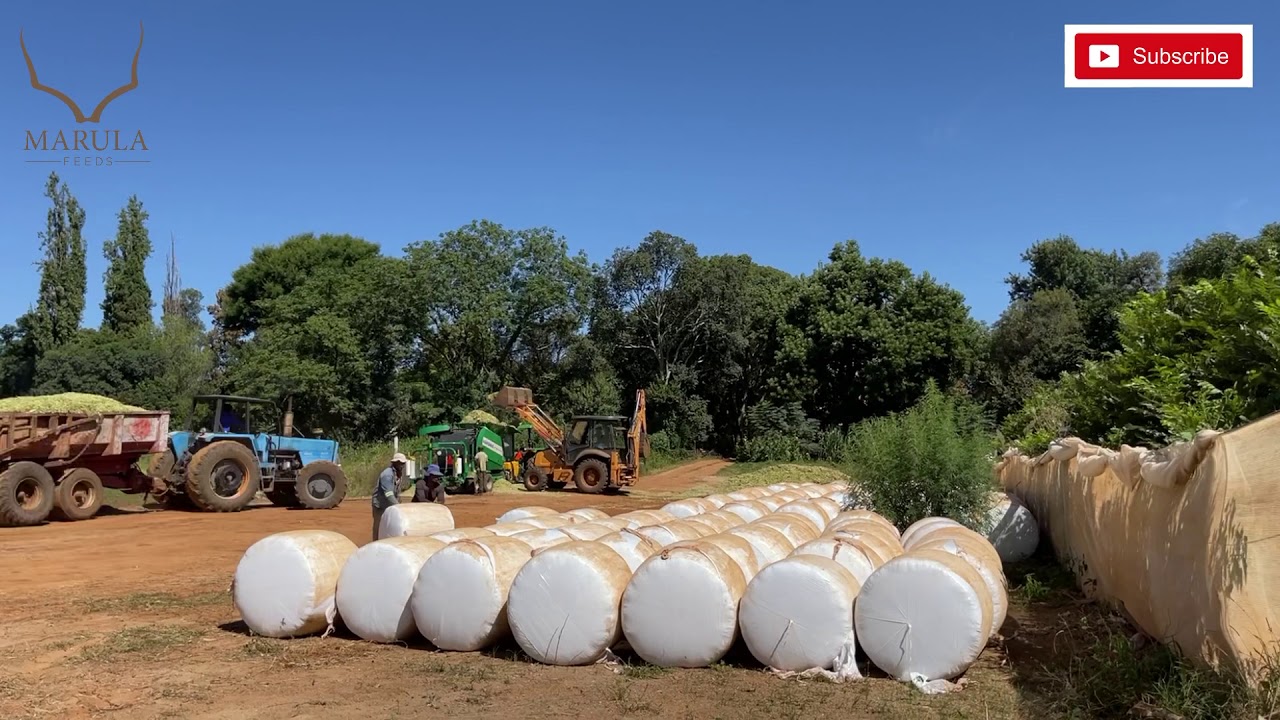 Making Silage Bales with the Agronic 820 Multibaler - YouTube