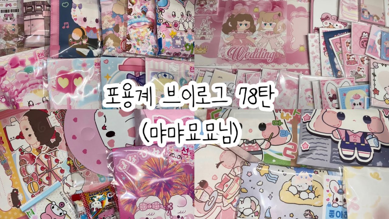 포용 포용계먀먀묘묘문구사장대량포장포장 브이로그 Vlog 78탄알고리즘 알고리즘뜨자포용계포용계브이로그