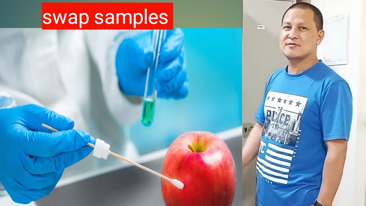 what is swap test in food industry || food safety || how to take swap ...
