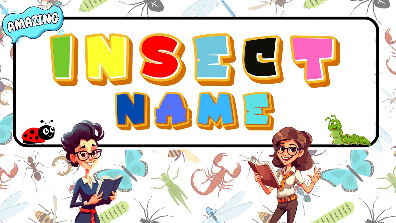 🐞🐜🦋 Fun Insect Names for Kids | Learn Bugs| toddler videos educational ...