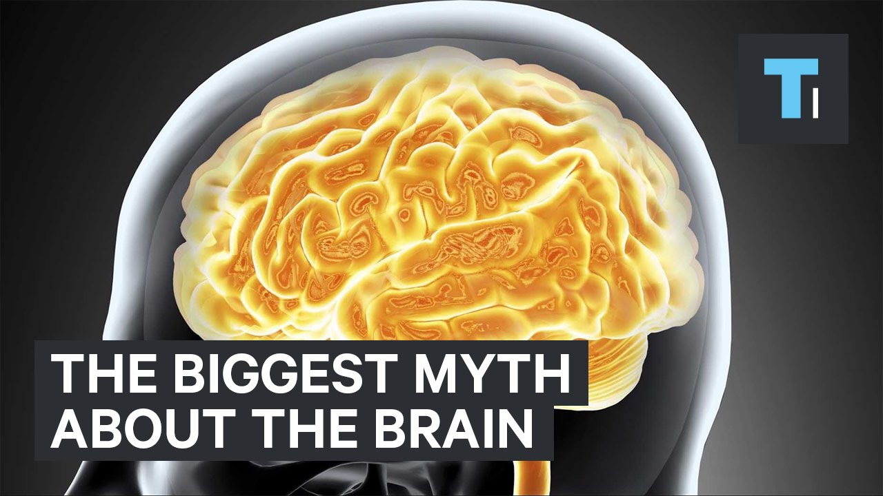 The biggest myth about the brain - YouTube