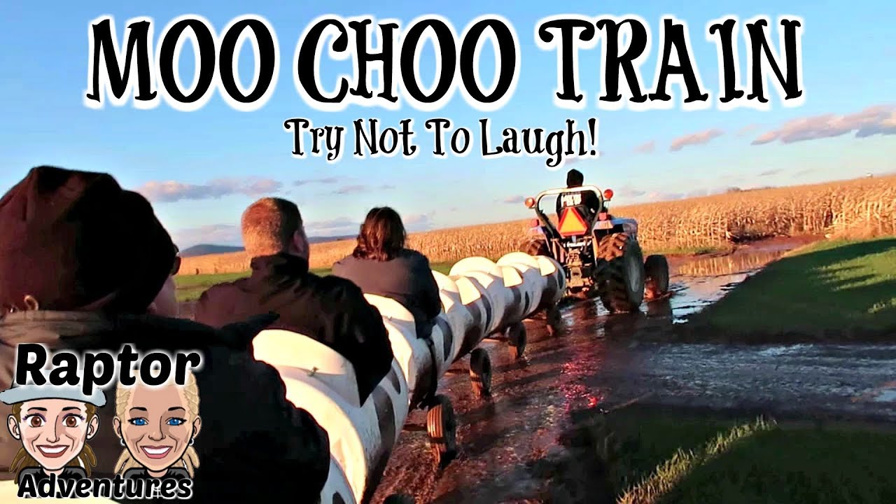 The Moo Choo Train - YouTube