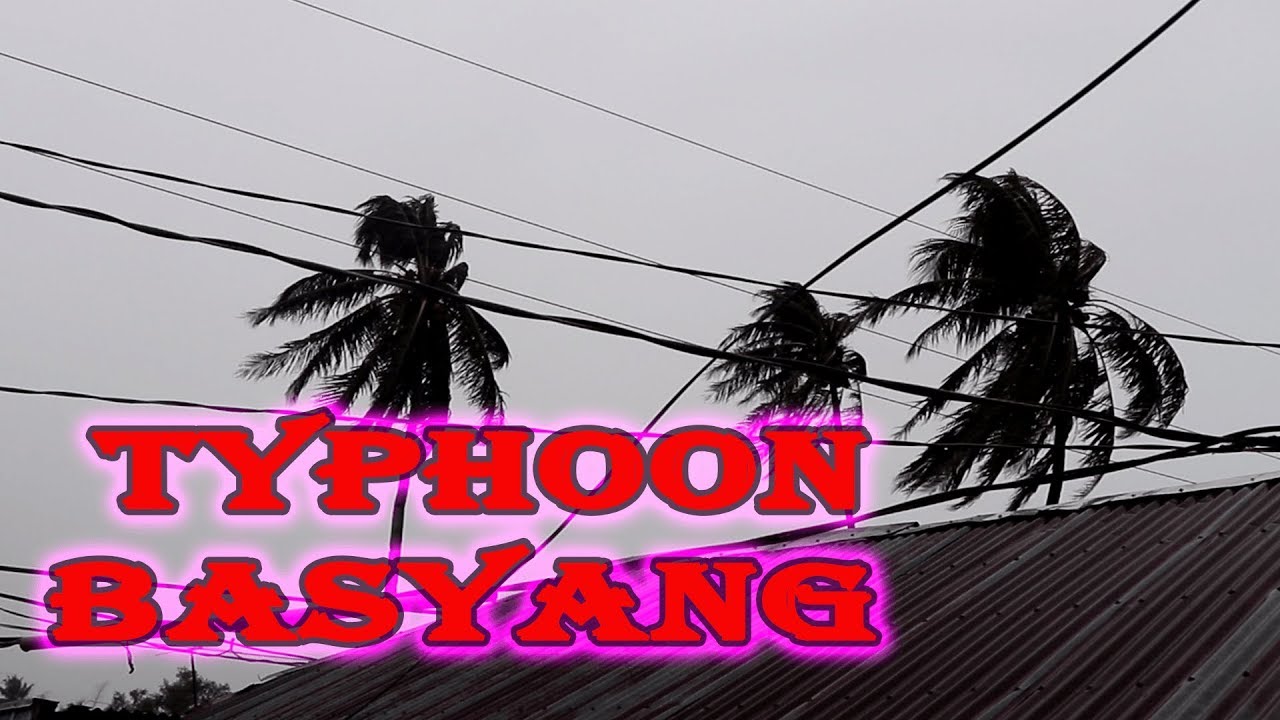 SCARY TYPHOON LANDED IN BOHOL (Typhoon Basyang) - YouTube