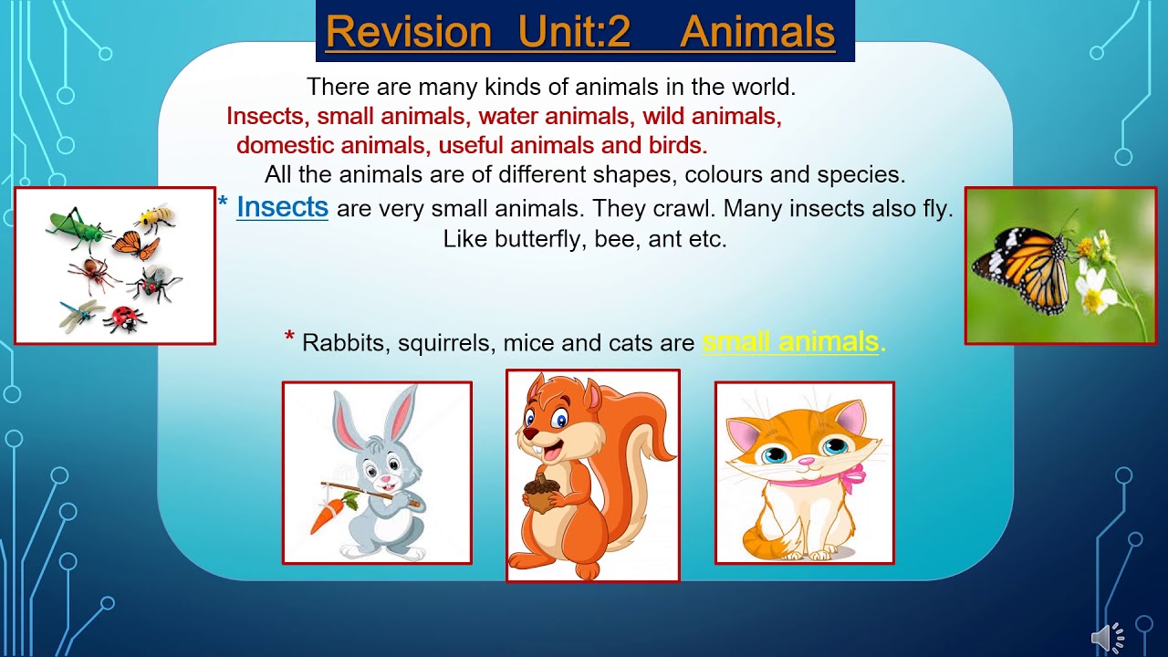 Grade 1 Science Revision Video of Unit 1 & 2 - YouTube