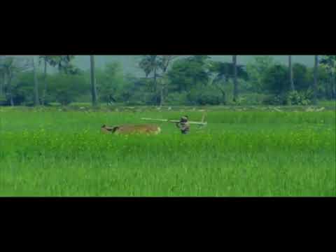 Bahaki bahela purwaiya, udit narayan song, lovely song