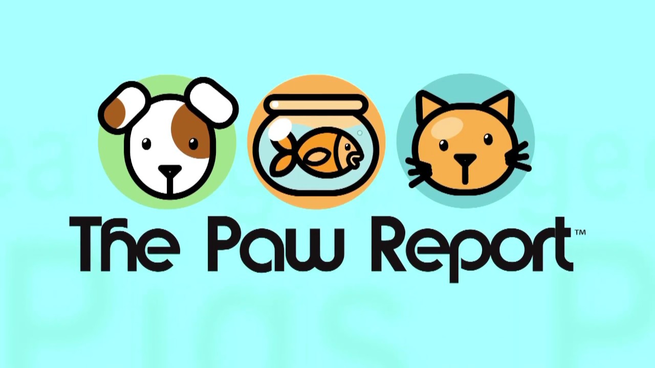 The Paw Report, Episode 705 - Emergency Care for K-9 Officers - YouTube