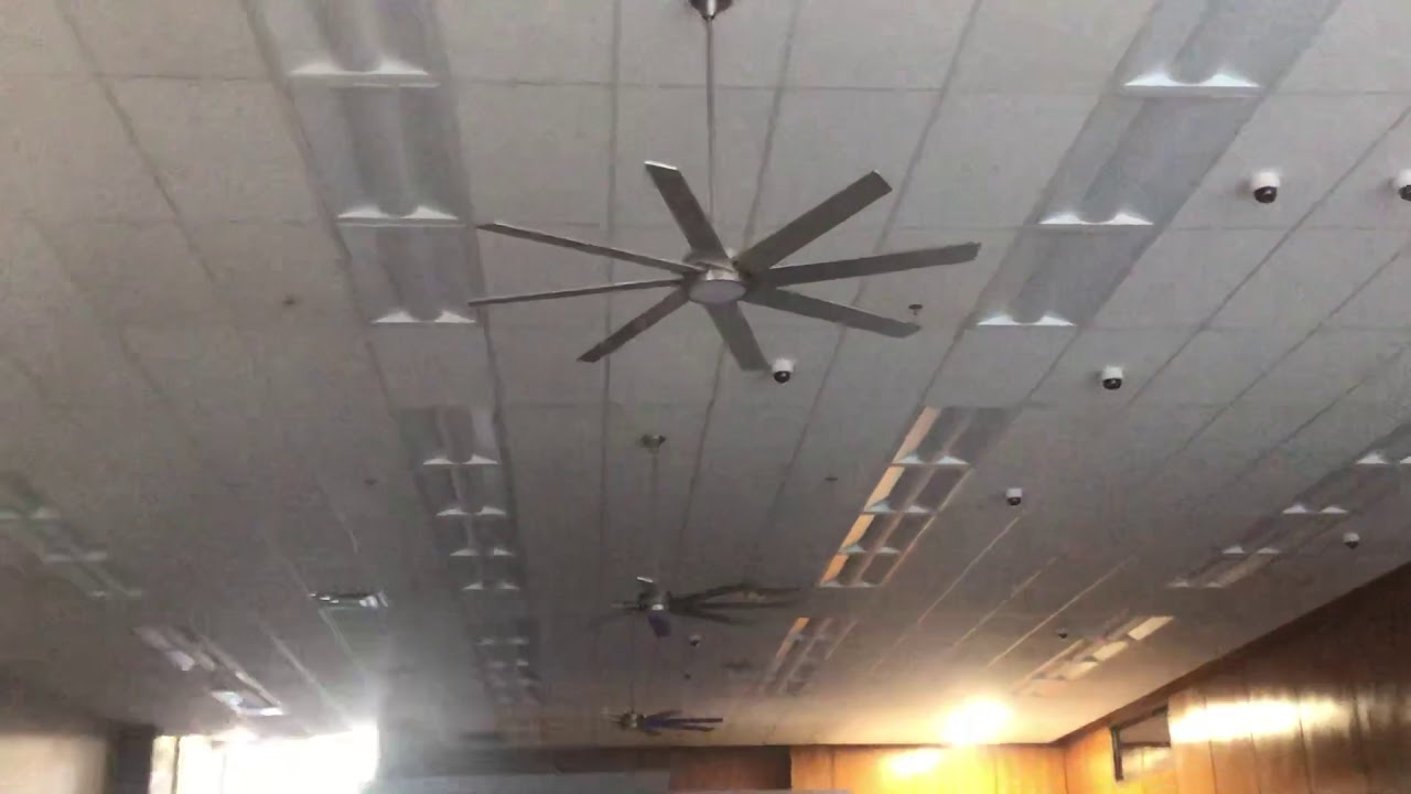 3 Unknown Modern Ceiling Fans at CVS - YouTube