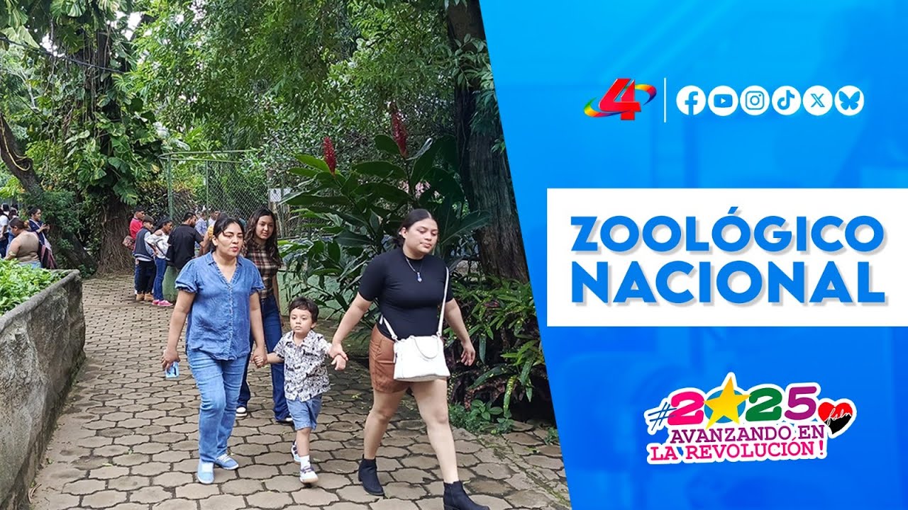 🦁🐒 Fin de semana lleno de fauna y diversión familiar en el Parque ...