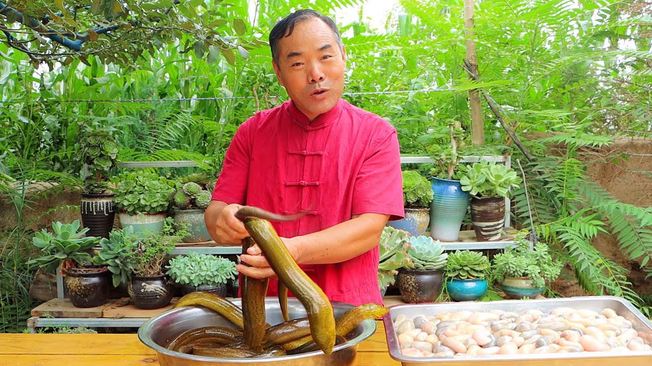 Cook 4 KG EEL and Chicken Kidneys with Extra Spicy! So Juicy and Tasty ...