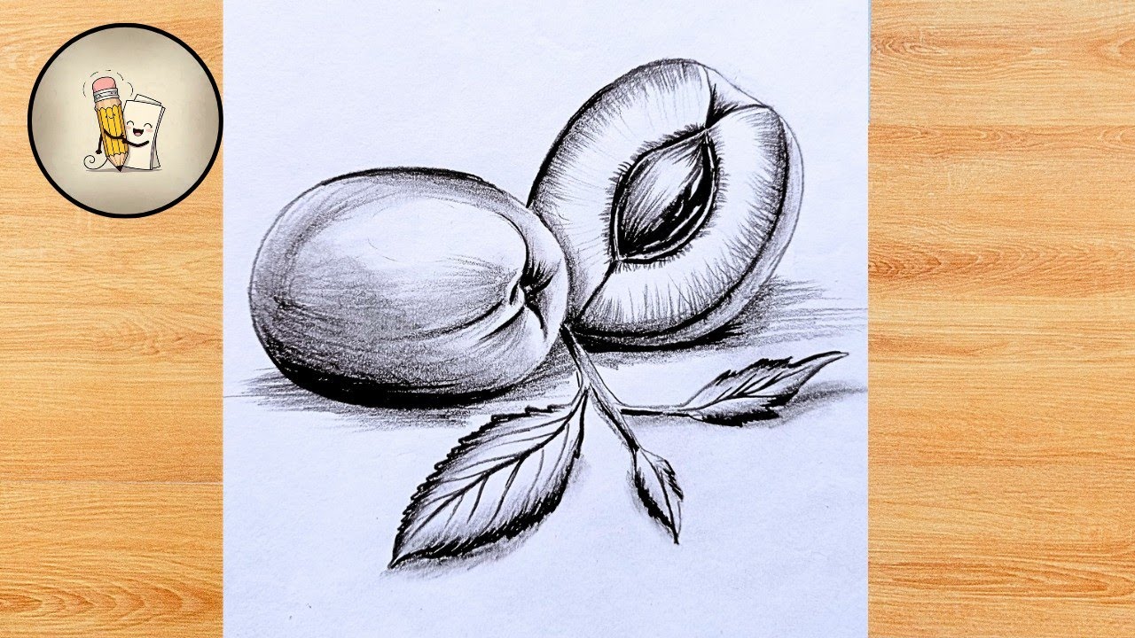 How to Draw an Apricot – Easy Step-by-Step Drawing Tutorial — Food ...