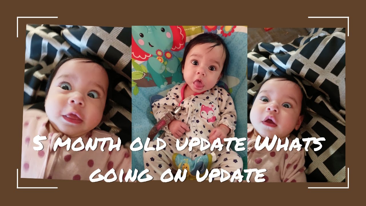 5 Month Old Baby Update Whats Been Going On - YouTube