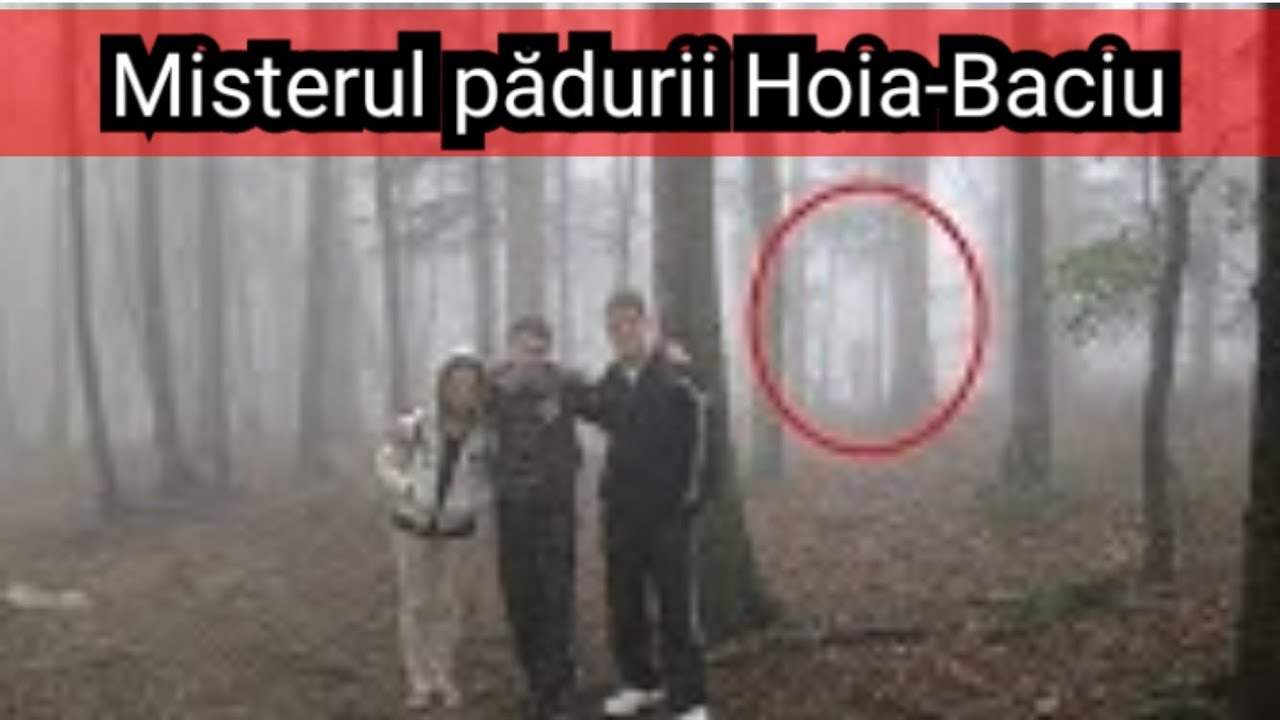 Padurea Hoia Baciu un Mister Pentru Toata Lumea - YouTube