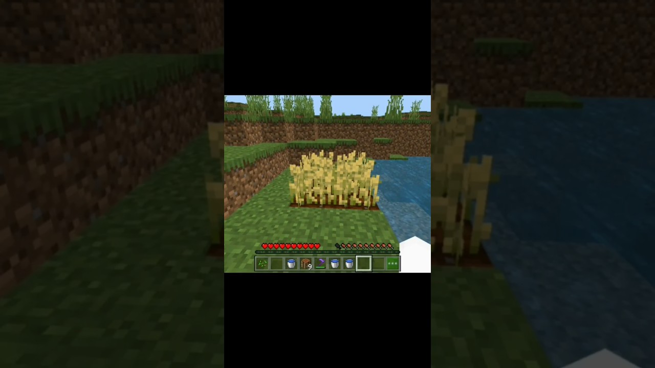 Como hacer pan en Minecraft - YouTube