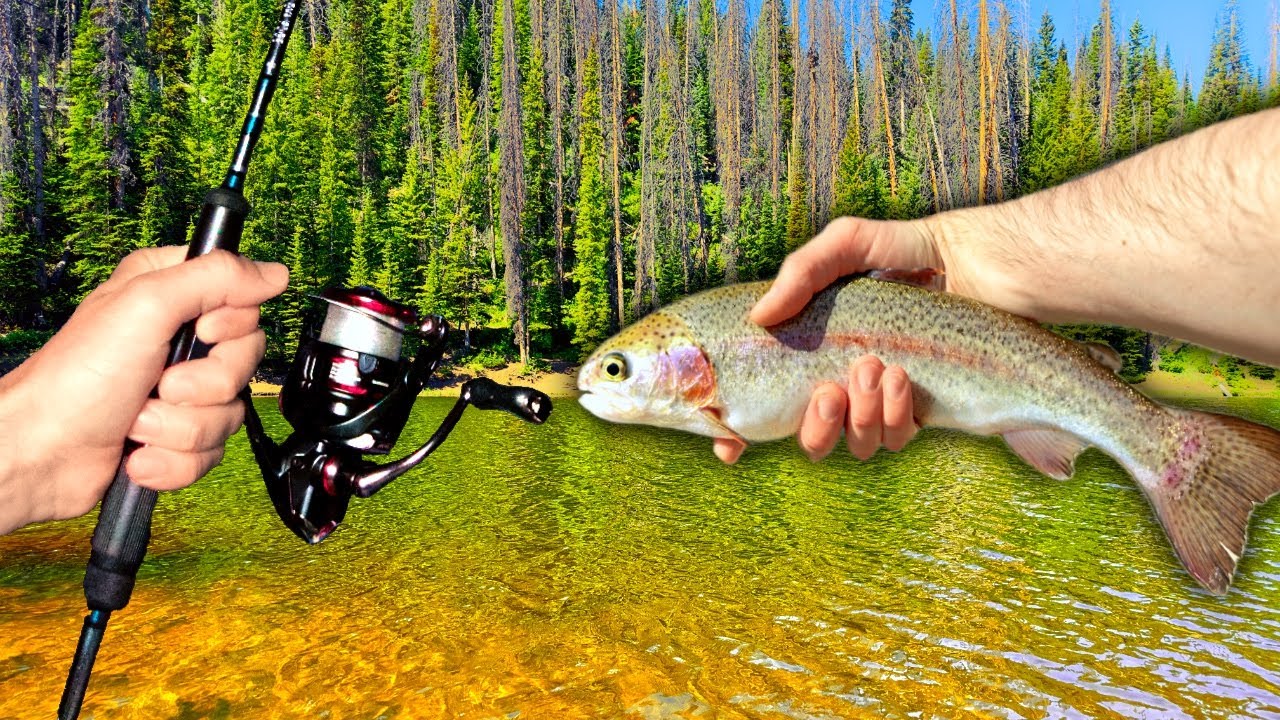 High Mountain Lake Fishing for Tiger Trout & Rainbow Trout (Gold ...