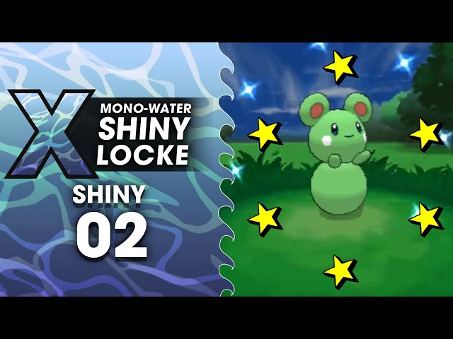 Shiny Chimchar X And Y