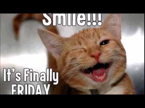 Friday Frolics 4-20-2018 by Gayle Thompson - YouTube