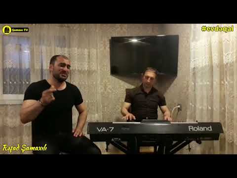 Rəşad Şamaxılı - Şamaxı Üçün Oxu