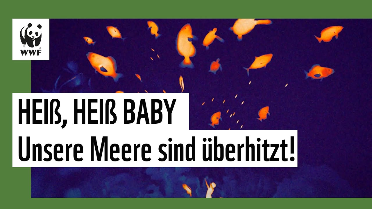 Heiss, heiss Baby! Unsere Meere sind überhitzt. - YouTube