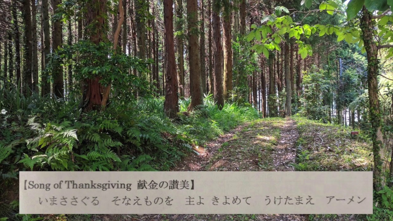 Song of Thanksgiving {Learn Japanese Through Hymns!!!} - YouTube